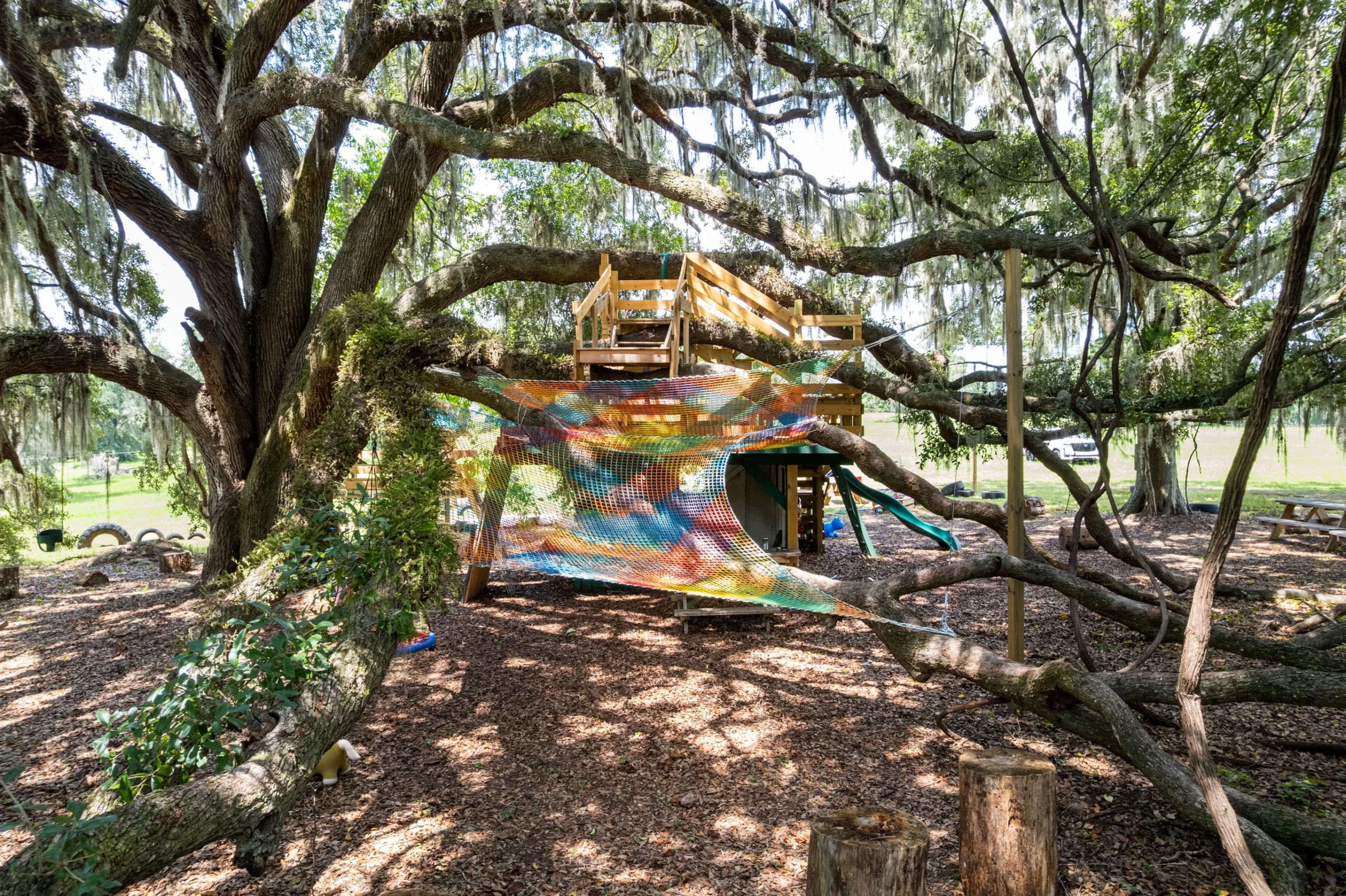 Treehouse School - Bella Terra Hills