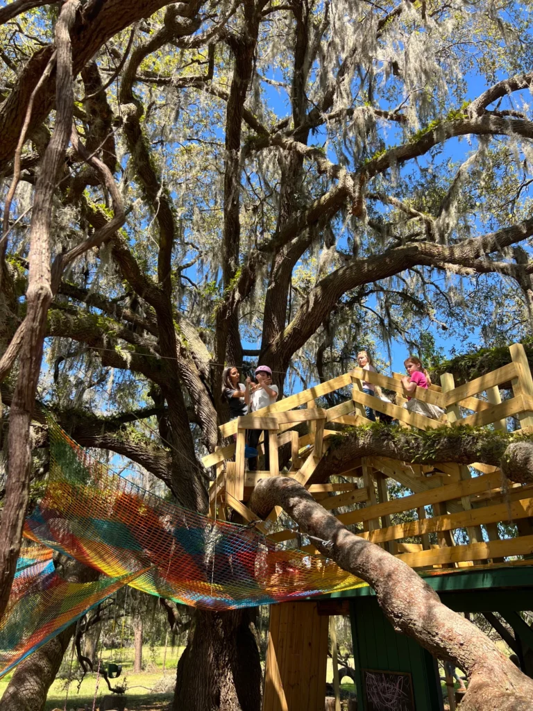 Treehouse School - Bella Terra Hills