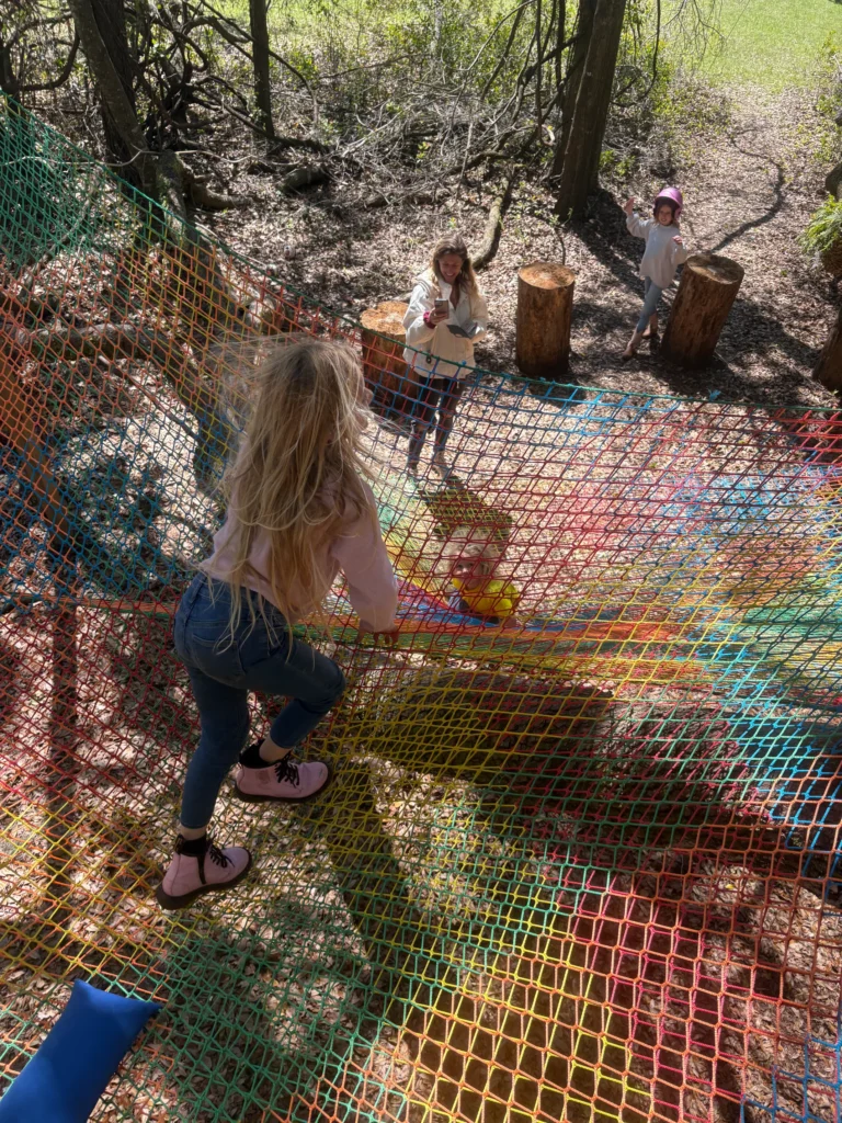 Treehouse School - Bella Terra Hills