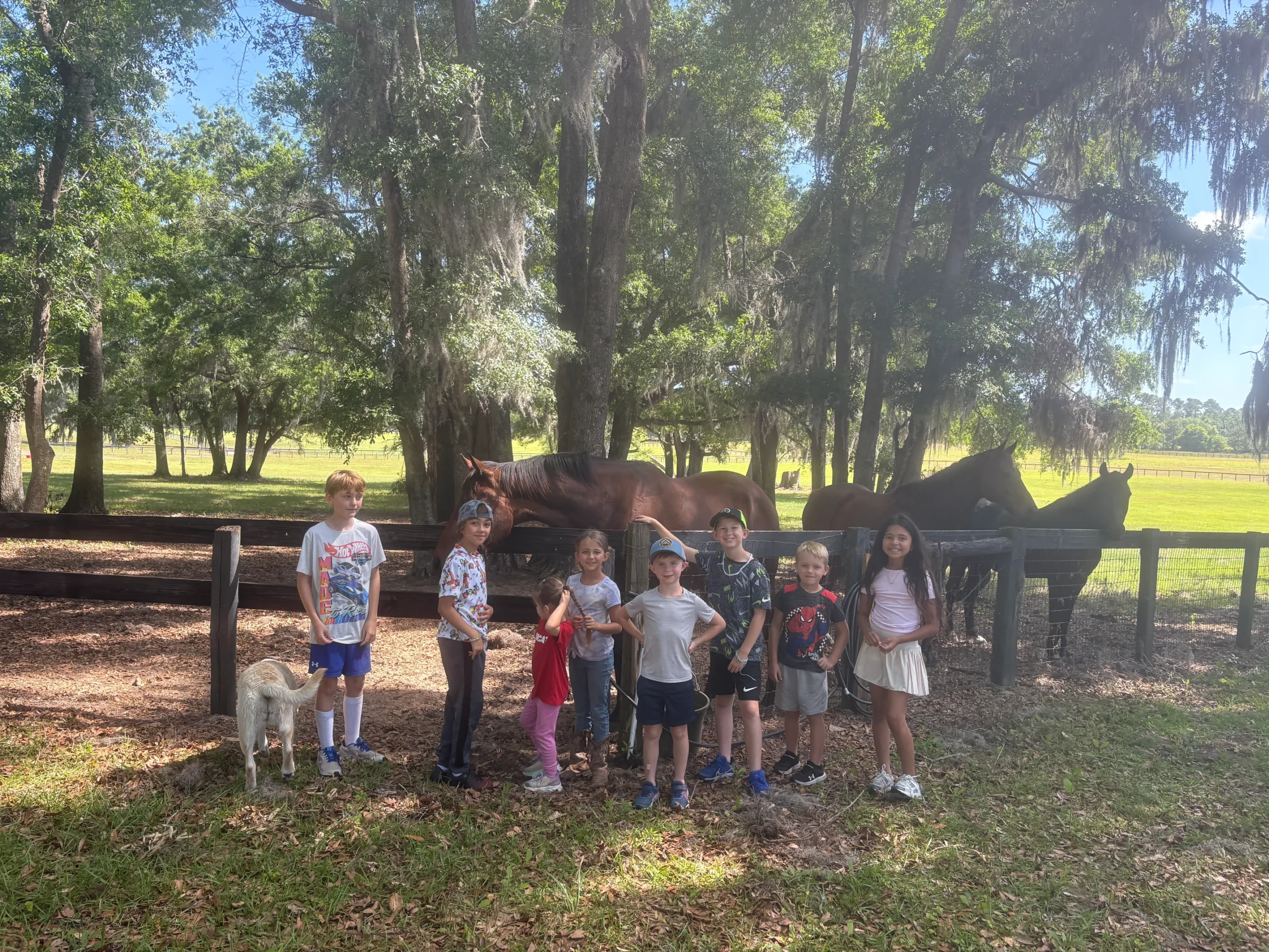 Treehouse School - Bella Terra Hills