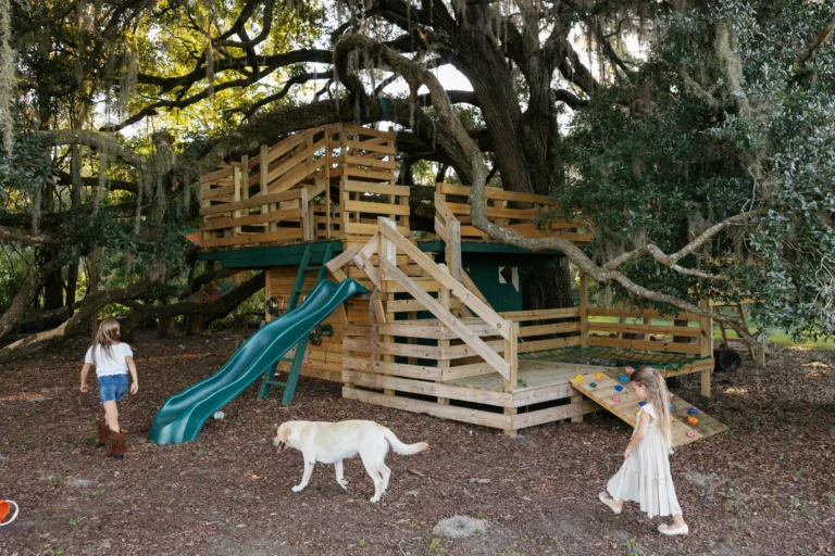 Treehouse School - Bella Terra Hills
